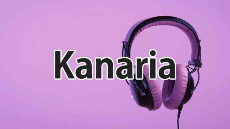 【ボカロP】Kanaria(カナリア)とは？楽曲「KING」で人気のカリスマプロデューサー