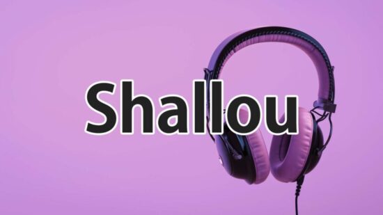 Shallou(シャロウ)のおすすめ曲10選！新鮮なオーガニックサウンドが心地いい！