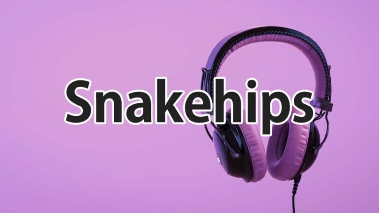 Snakehips(スネークヒップス)のおすすめ曲10選！