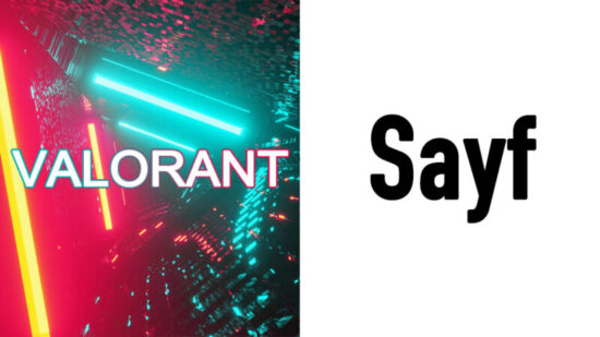 Sayf(セイフ)の使用デバイス(マウス・キーボード・モニター等)を紹介